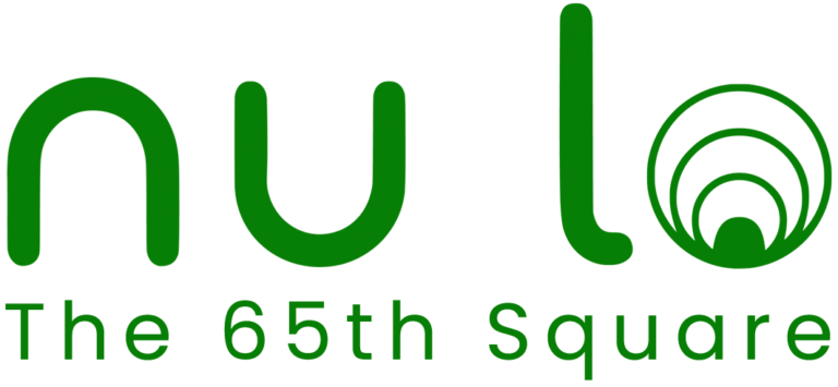 BIW for Electric Vehicle – Nulo